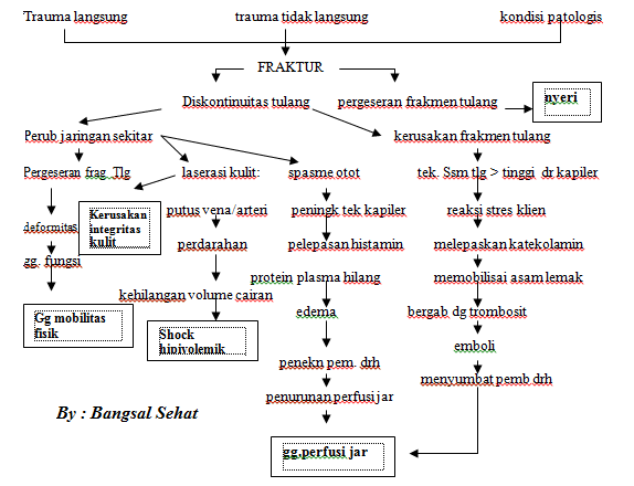 Laporan Pendahuluan Fraktur / Lp Patah Tulang Pdf Dan Doc - Cara ...