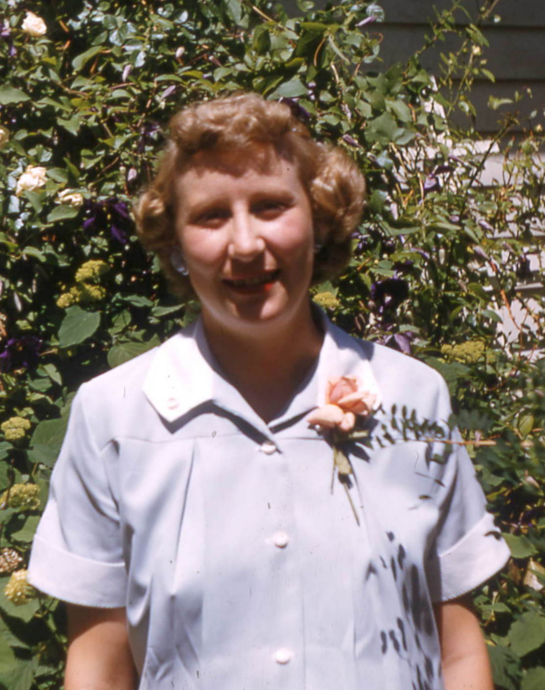 Penrose Mornings: Blood Family Blog: Velna