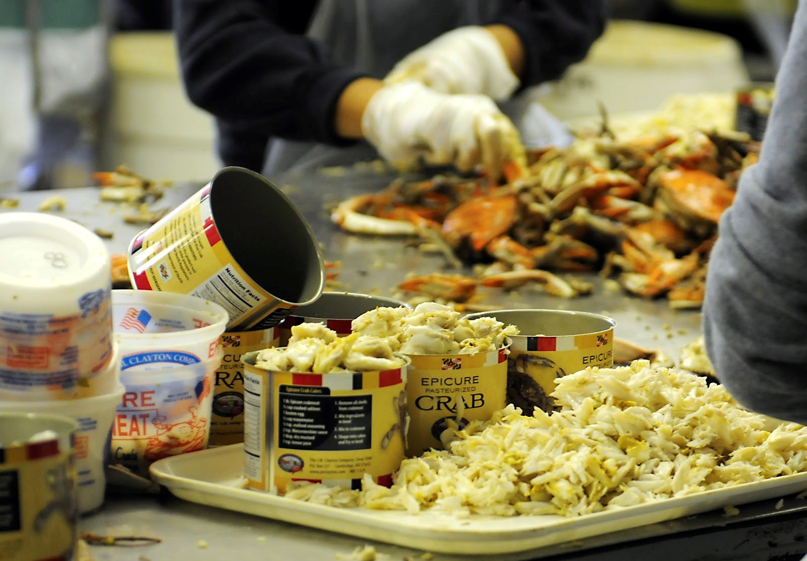 Crab Canning Supplier - Frozen Mud Crab Supplier, Crab Meat Seller ...