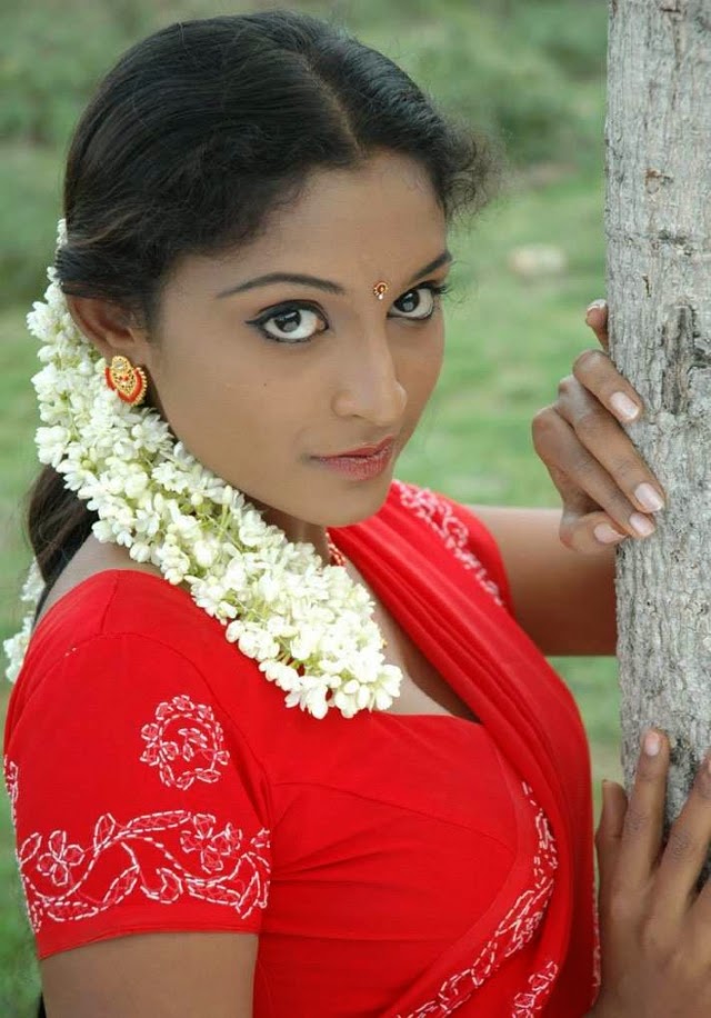 Actress Akshaya Navel Show in Red Saree Stills - Cine Gallery