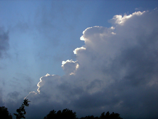 Wx4cast: Severe Thunderstorm Structure