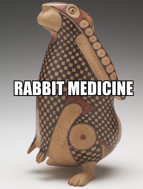 White Wolf : Rabbit Medicine - What Rabbits Can Teach Us