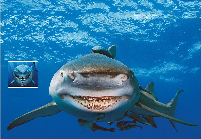 spagosmail: Ajkula zrela za Hollywood