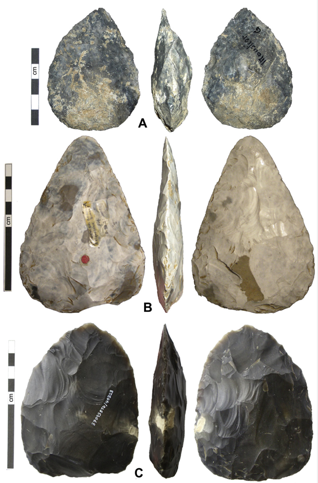 The Subversive Archaeologist: Working . . . on K. Reubens's Neanderthal ...