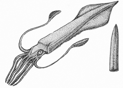 Nadya Sheremet: Birds milk