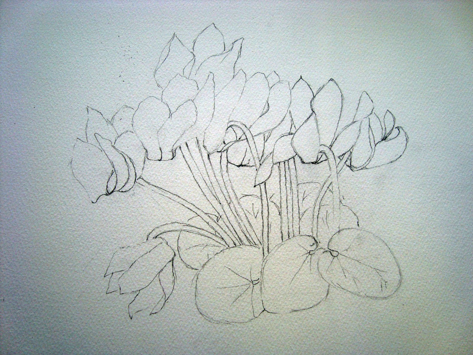 Watercolour Florals: Cyclamen