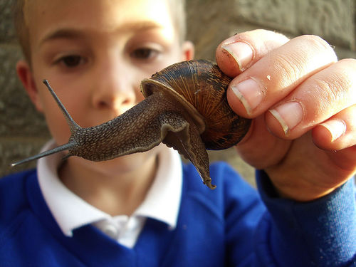 Healthtips Newsflash