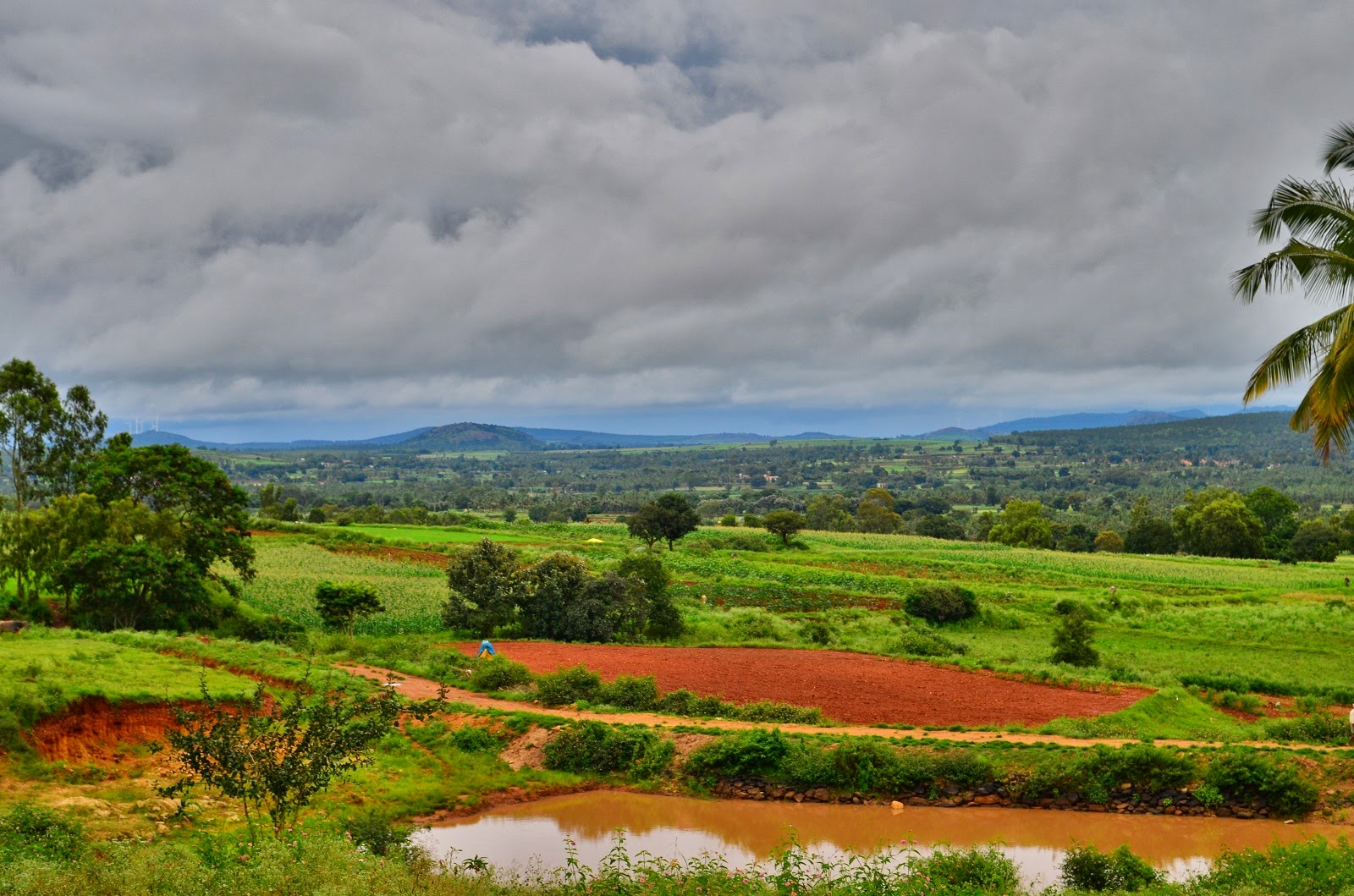 Sharath Hassan A Travelling Photographer: SEEGE GUDDA, Hassan Taluk ...