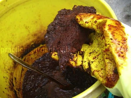 Neighborhood Dirt: HOW TO EXTRACT AND COLLECT HOMEMADE FISH EMULSION