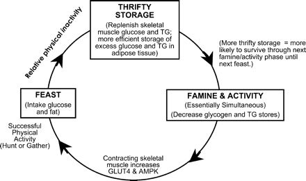 US History Film Review Essay: Native American Obesity and Diabetes ...