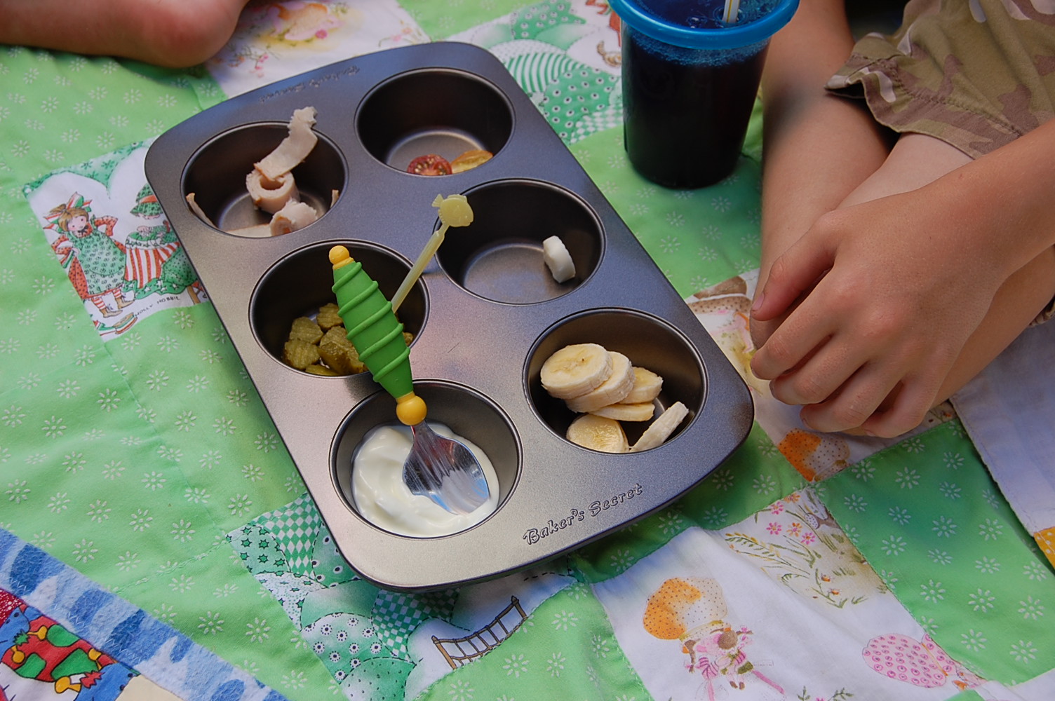 Preserving Life's Moments: A Picnic