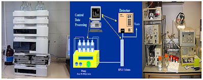 High Performance Liquid Chromatography (HPLC)