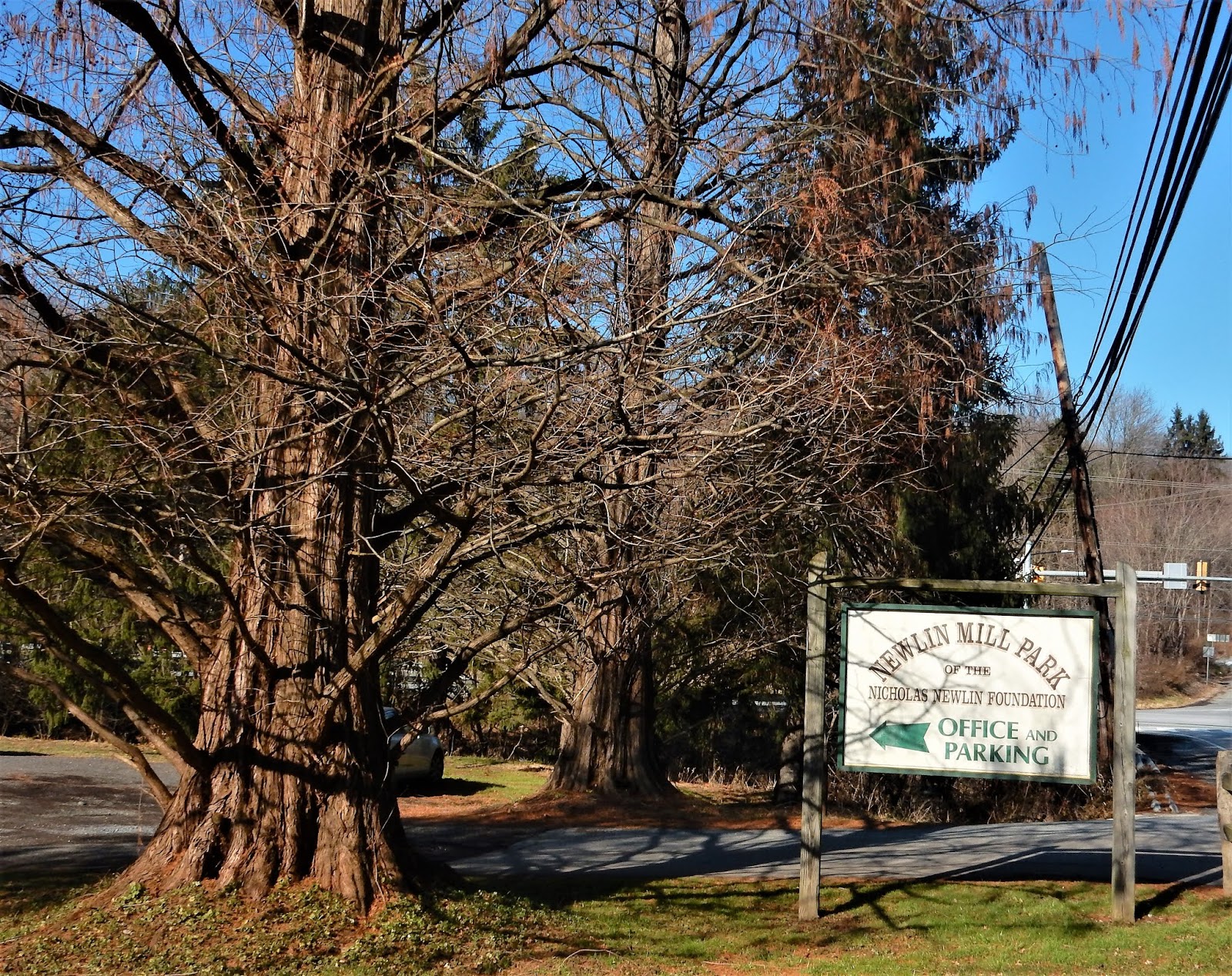 Natural Mid-Atlantic : PA Newlin Grist Mill: Hunting the Wren
