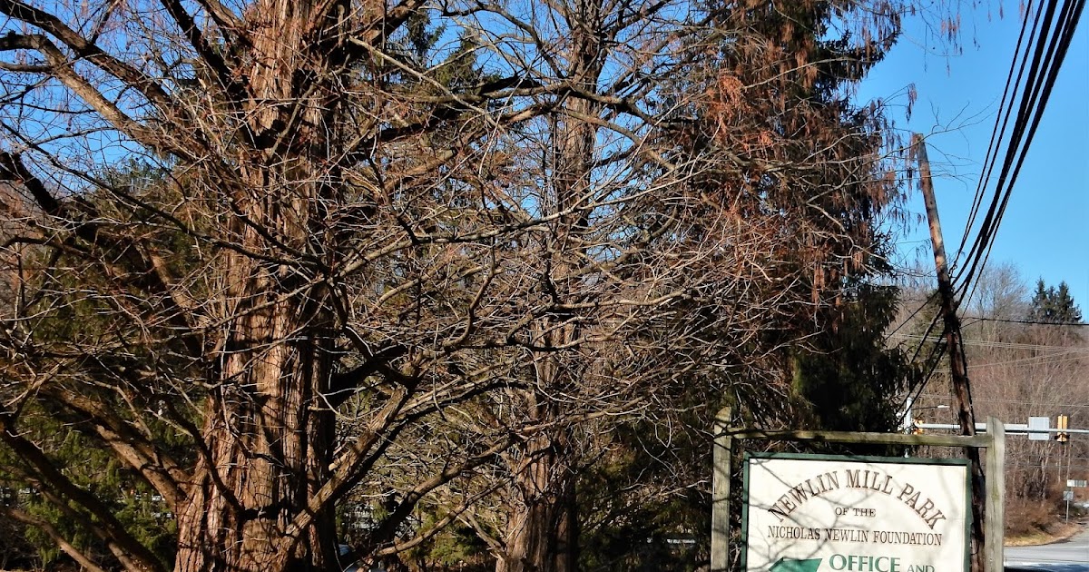 Natural Mid-Atlantic : PA Newlin Grist Mill: Hunting the Wren