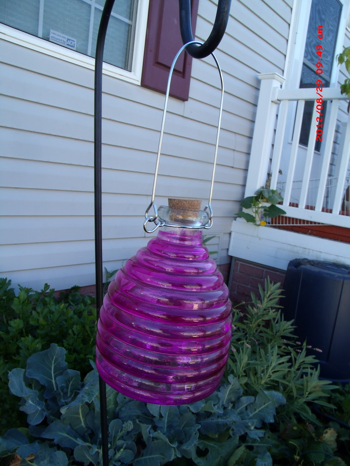 A Lucky Ladybug: Mad About Gardening Wasp Trap Review and Giveaeway