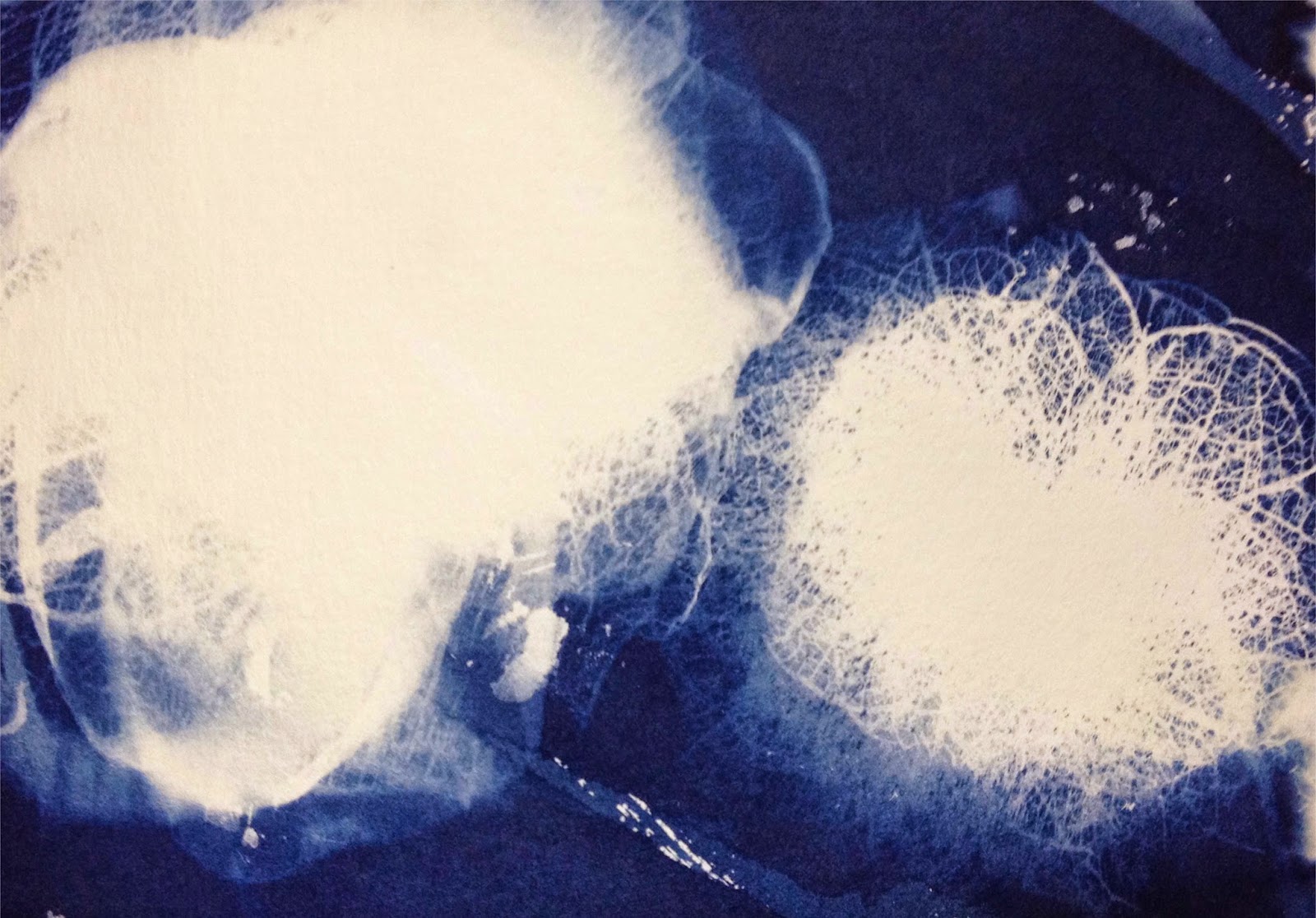 Investigações Fotográficas: CIANOTIPIA - primeiras experiências