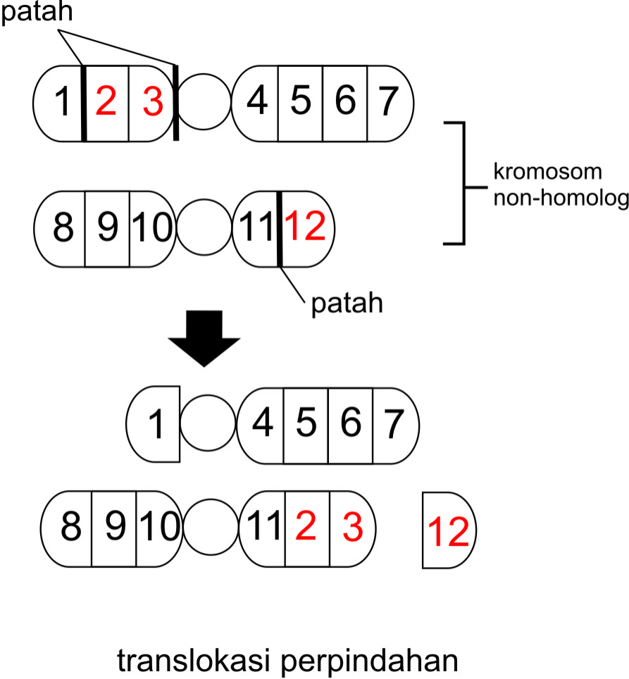 (DOCX) materi kuliah biologi - DOKUMEN.TIPS