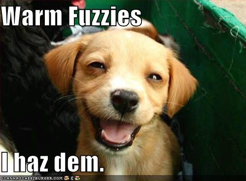 Phylly's Faves: Warm fuzzies