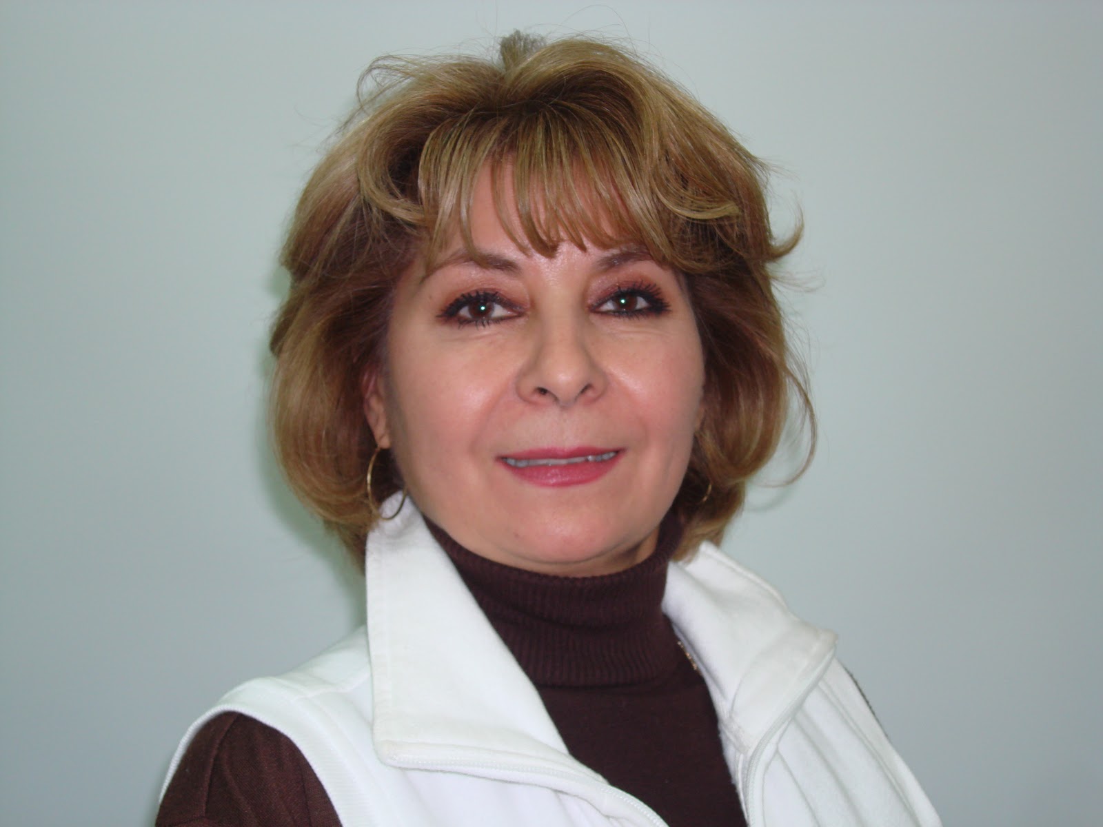 SECUNDARIA NO. 17: Personal Docente