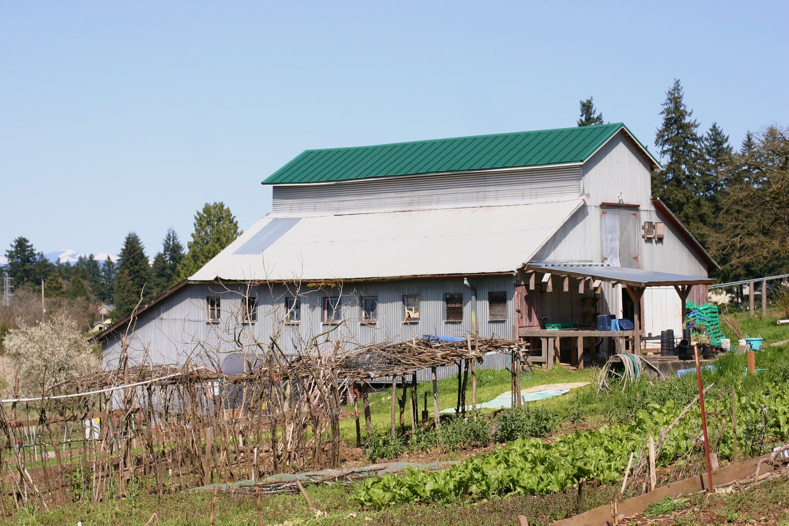 Frontier Dreams: Out and About : Zenger Farms