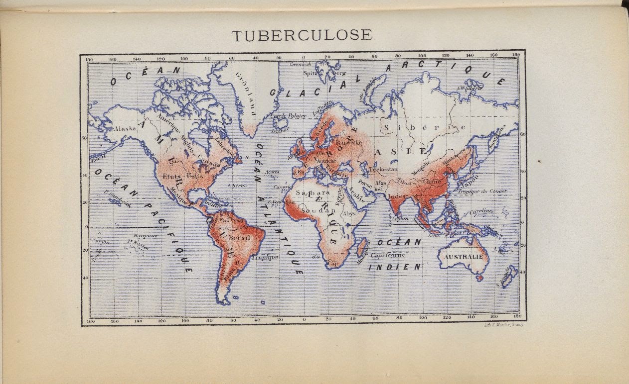 Genealogy: Beyond the BMD: It's Epidemic!
