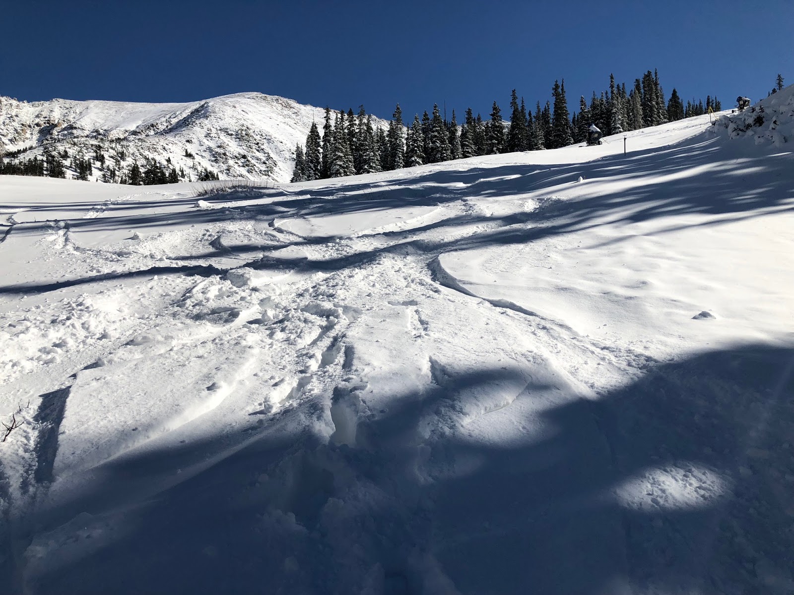 Al's Blog: More High Noon Photos