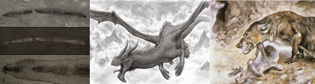 LA CIENCIA DE LA VIDA: Día del orgullo friki: Organismos con nombres ...