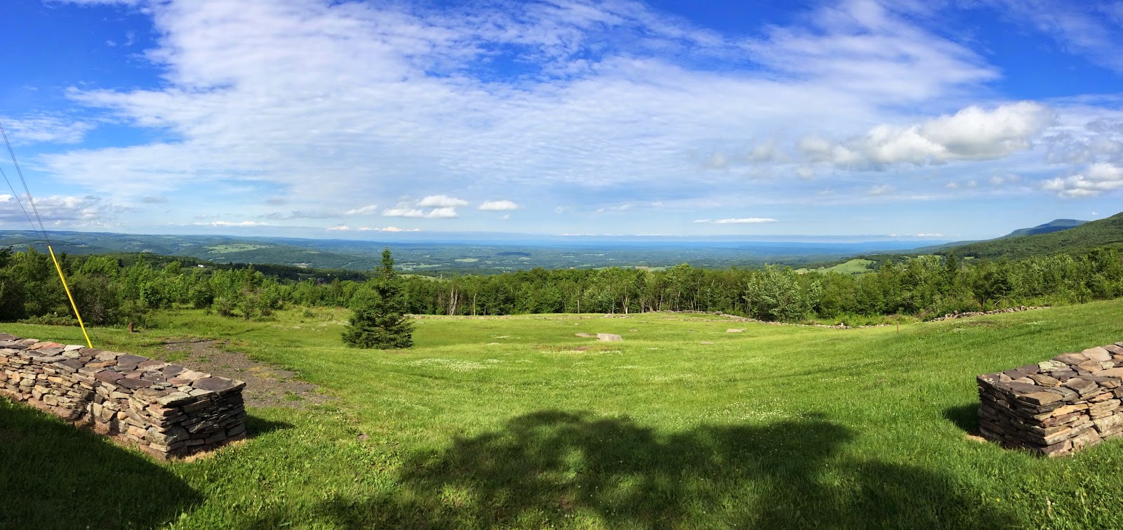 venturing4th: Gilboa Forest