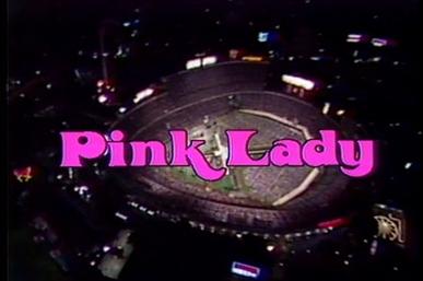 Lansure's Music Paraphernalia: PINK LADY | ピンク・レディー | MIE NEMOTO & KEI ...