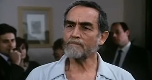 cineluk: Che bella faccia da Gassman