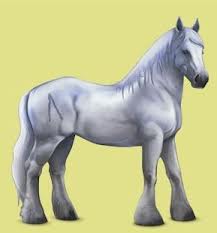 Howrse Unlimited: New Divine Horses