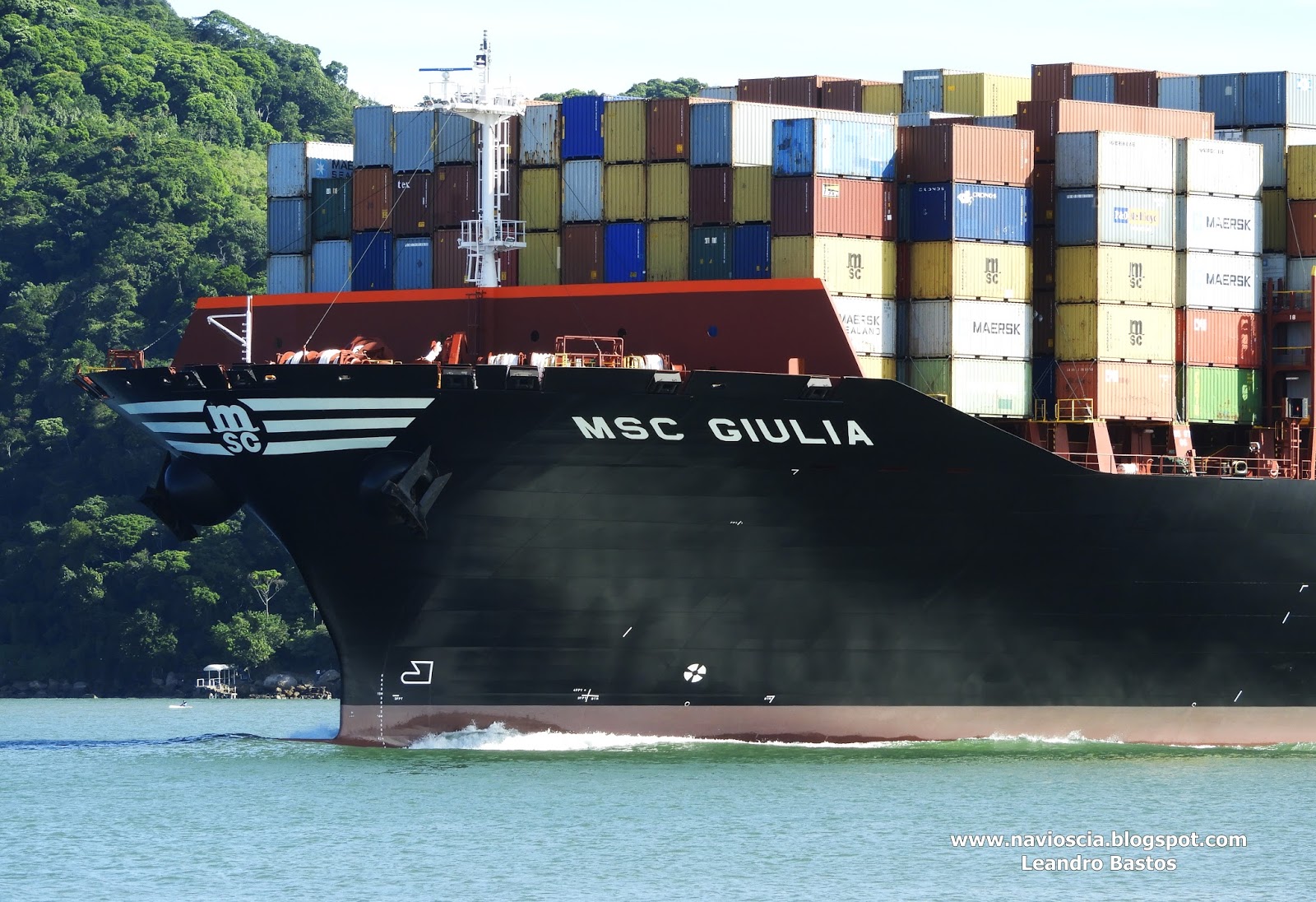 Navios de Santos & CIA: Navio MSC GIULIA