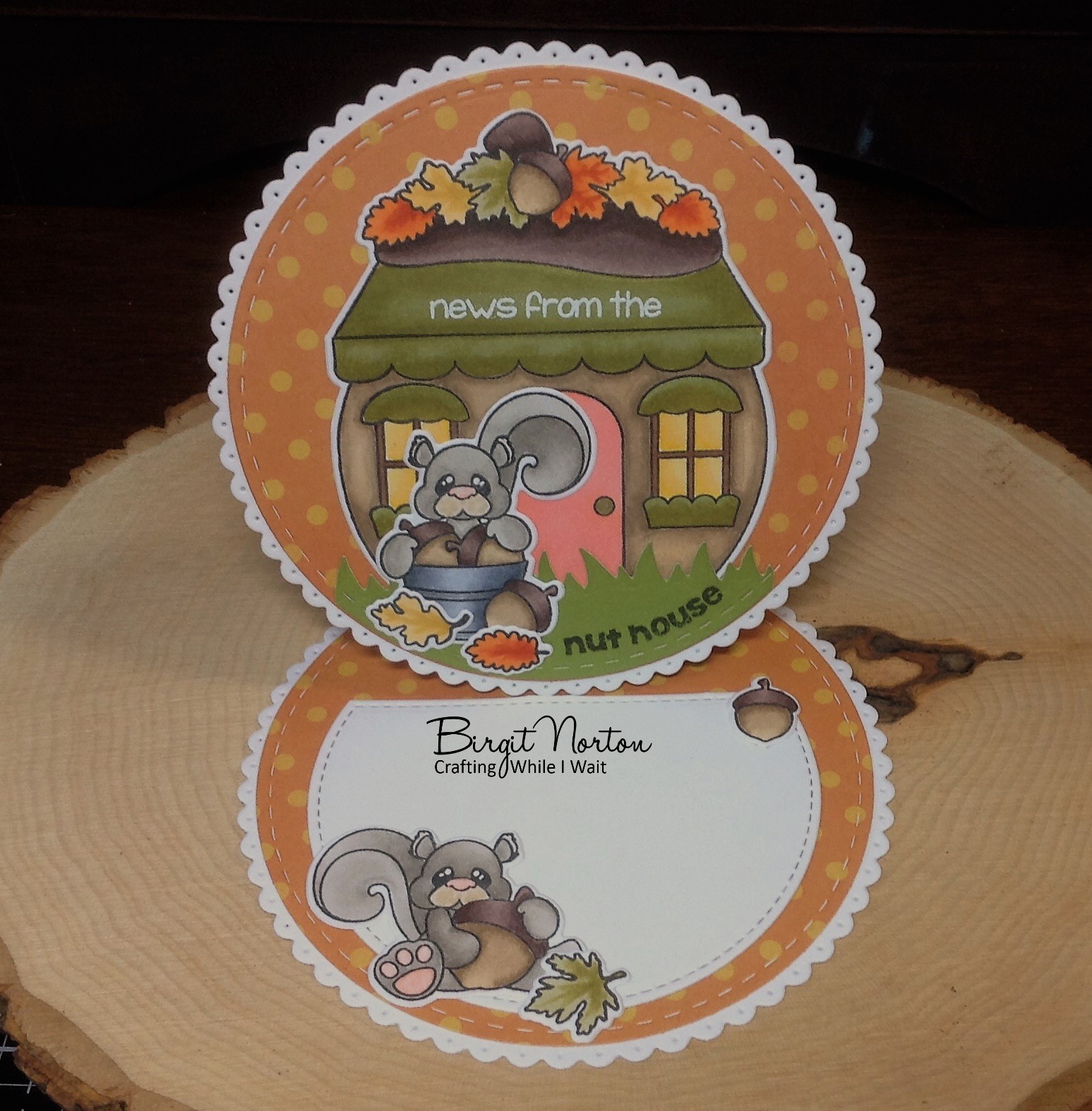 Crafting While I Wait: Nut House ~ TupeloDesignsLLC