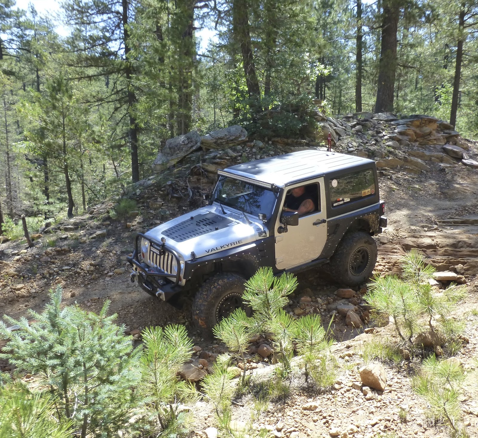 Hundewanderer.com: "Sunday Drive" 4x4 Ham Radio Operators, FR 300 ...