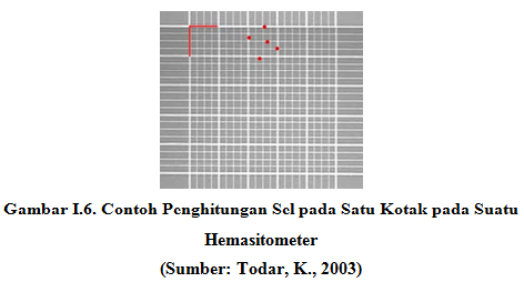 Semua dari 25 kotak besar dapat dihitung, atau suatu pola penghitungan ...