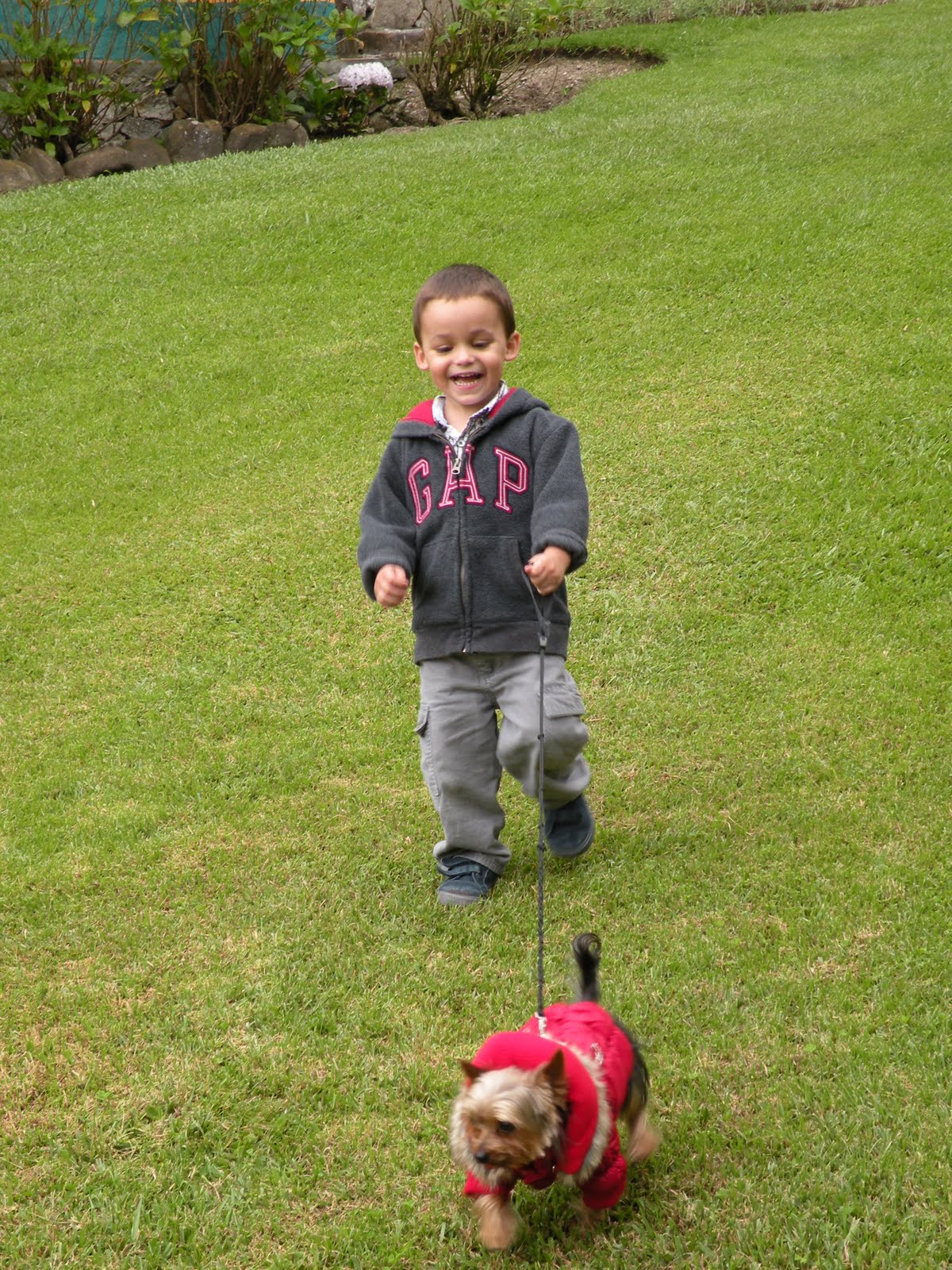 Yo tengo la llave: Heces de los perros