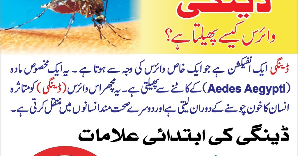 AYAT GRAPHICS & PRINTING SERVICE : Dengue Virus Flex