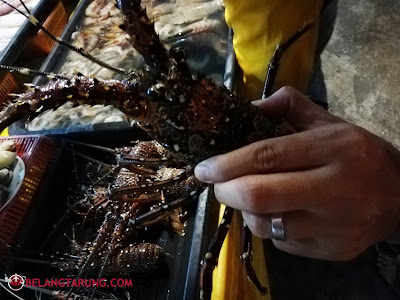 Syurga Makanan Laut Di Waterfront Seafood Night Market Kota Kinabalu