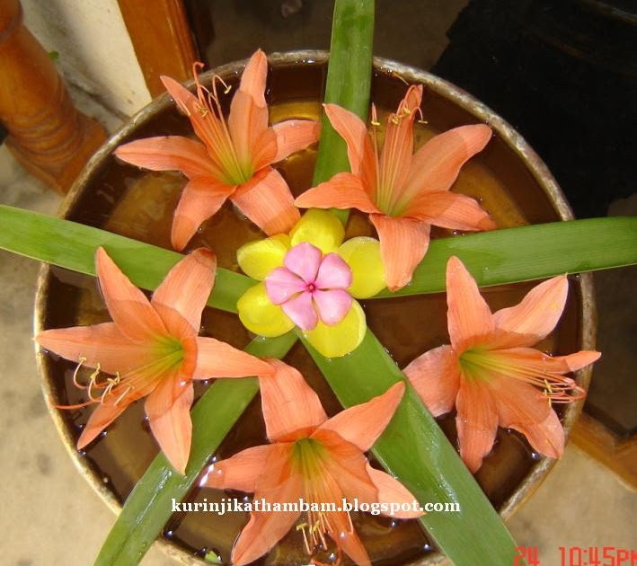 Flower Decoration / Flower Kolam / Poo Kolam - 13 ~ Kurinji Kathambam