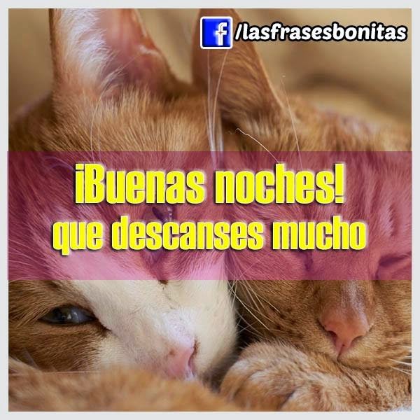 Frases Lindas Del Dia: ¡Buenas Noches! Que Descanses Mucho