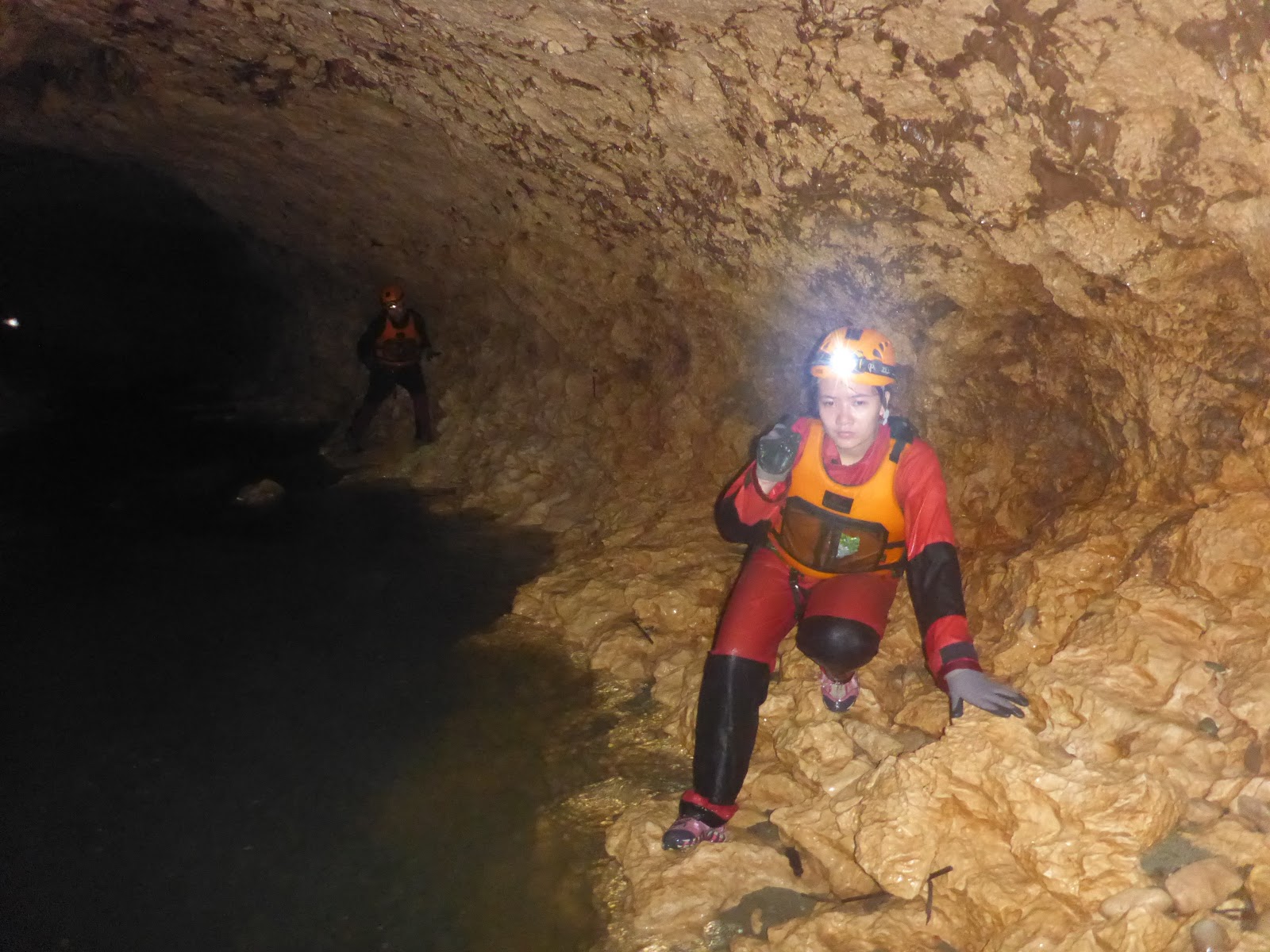 And low ceilinged areas to swim through.