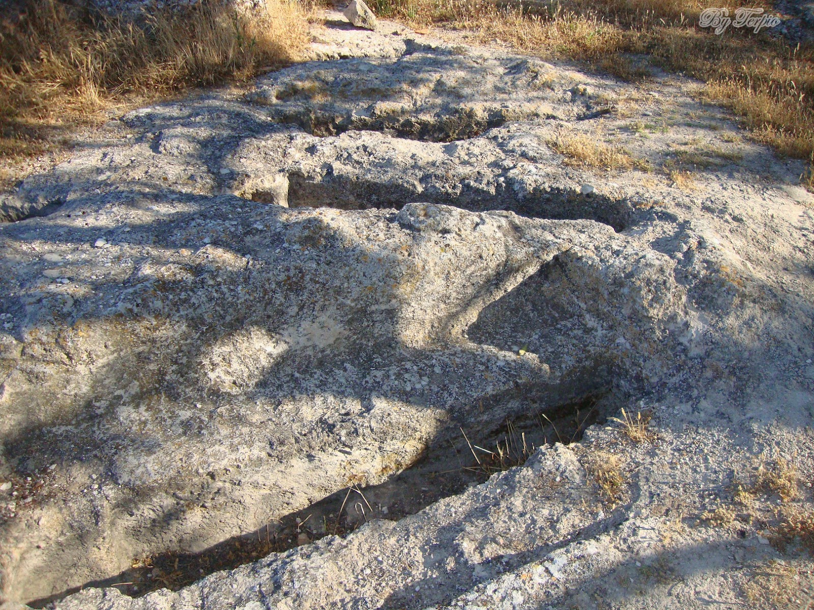 Viajes, Salidas, Naturaleza, (Fotografía).: Tozar (Granada).
