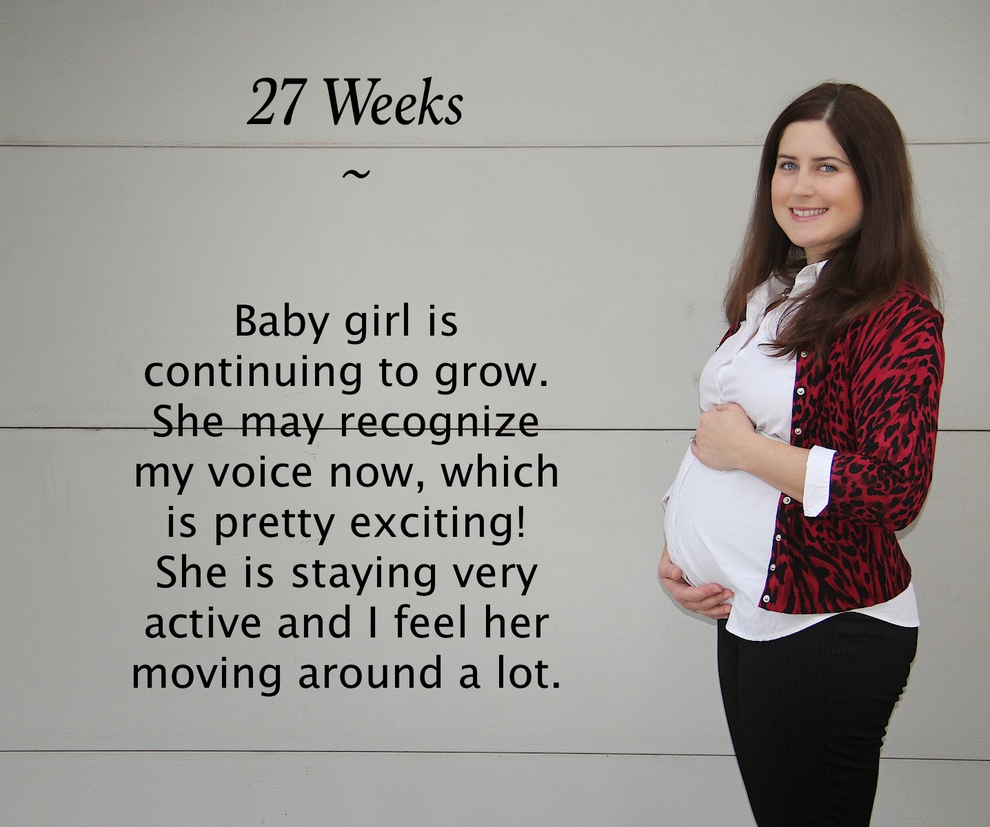 Erika's Style Diary: Pregnancy Update: Weeks 27 and 28