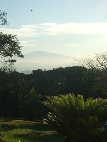 Family Travel Blog : What We Miss About Costa Rica