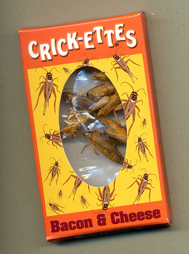 Bacon Dippers Gallery: Bacon And Cheese Crickets