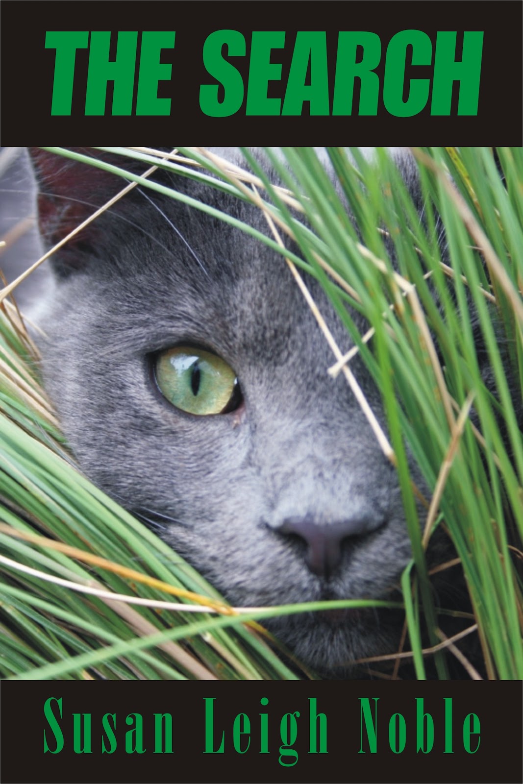 AhmadDarkside's Musings: Author Interview with Susan Noble