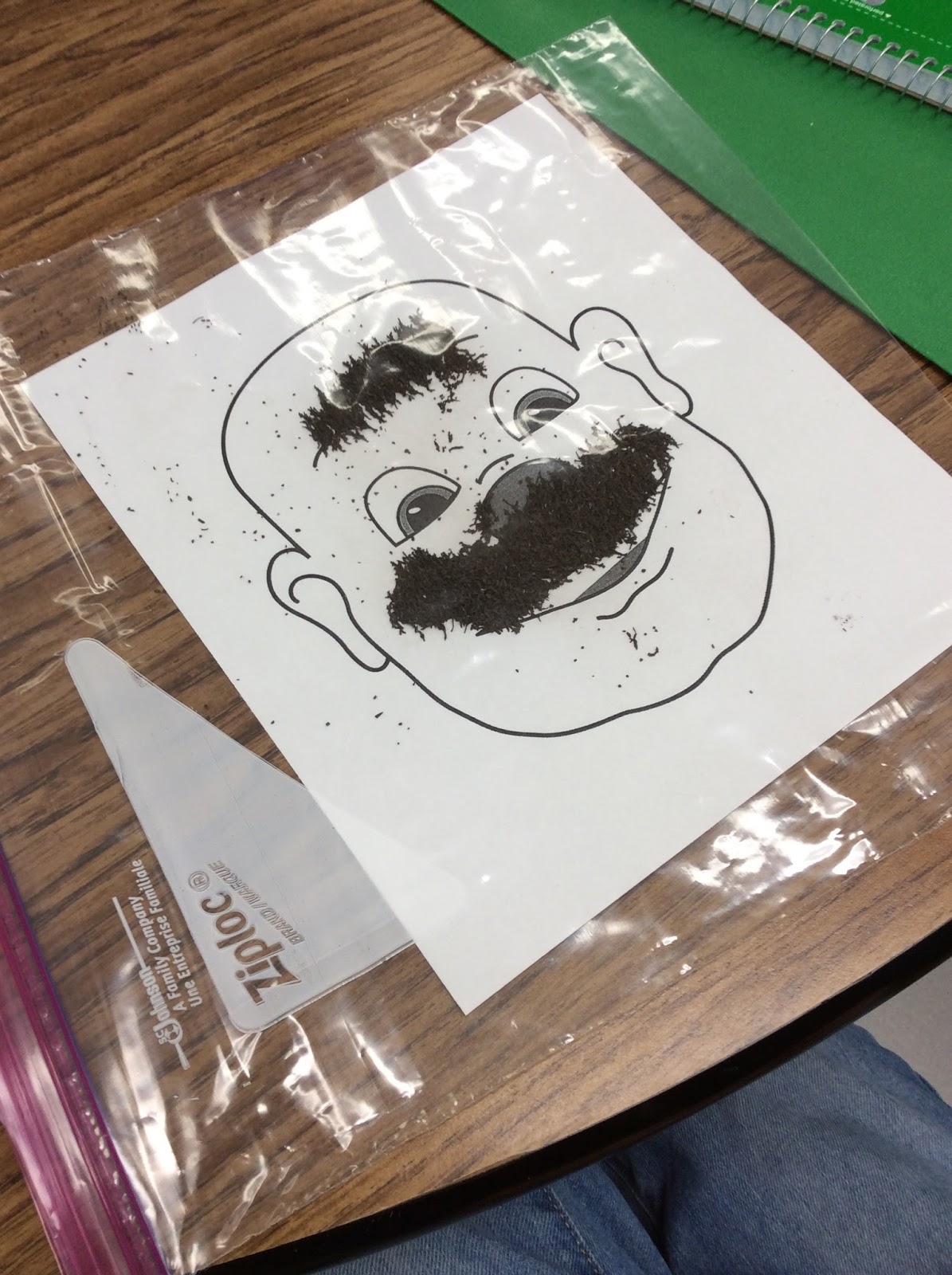 Wooly Willy Magnet Activity - The Science School Yard