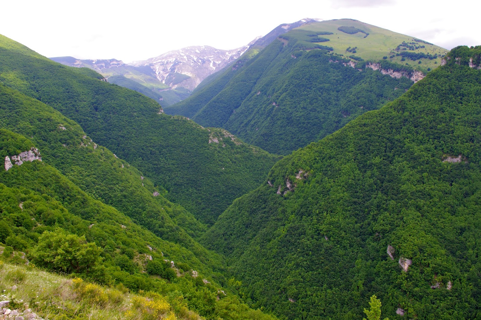 KOKOPELLI CAMPING: THE MAJELLA