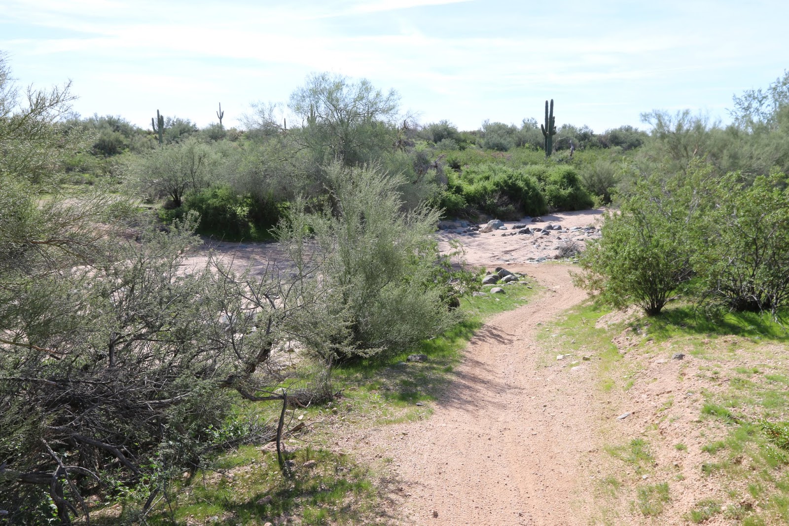 gjhikes.com: Cliff Walk