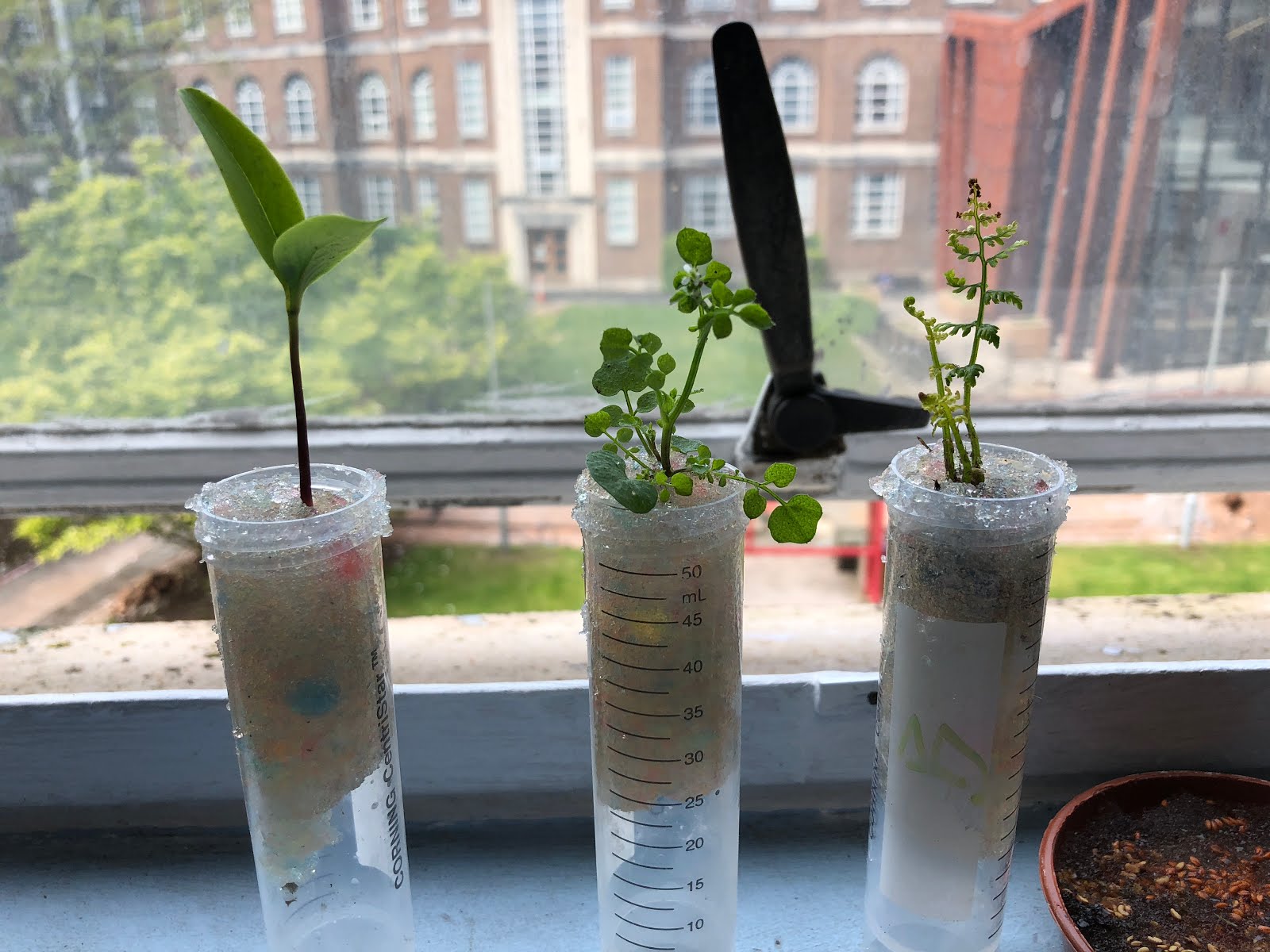 Let it Grow ...........Let it Grow | Materials Liz